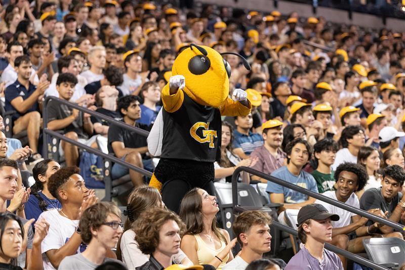 A Message from Buzz | Yellow Jacket Family Hive